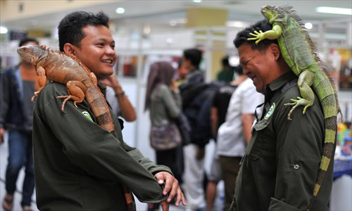 Lounging lizards - Global Times