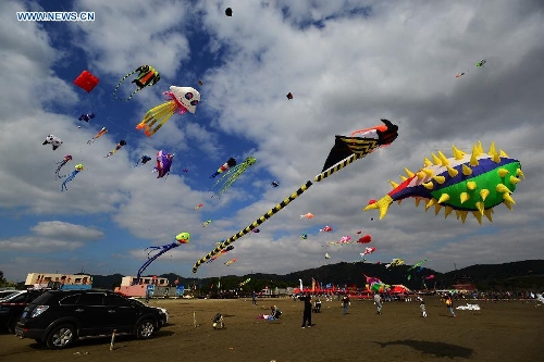 2015 Daishan Intl Kite Festival held in E China - Global Times