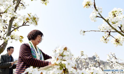 People enjoy holiday for Qingming Festival across China - Global Times