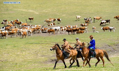 Nomadic migration on Ar Horqin grassland in China's Inner Mongolia - Global Times