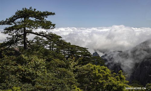 Clouds seen after rain on Huangshan Mountain in China's Anhui - Global Times