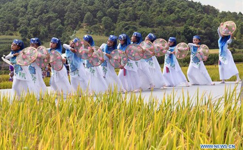 People celebrate harvest season across China - Global Times