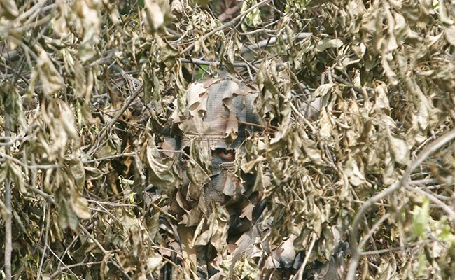 Hidden in plain sight: Military camouflage from around the world ...