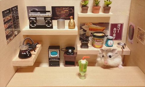 Hamster bartenders in Japan - Global Times