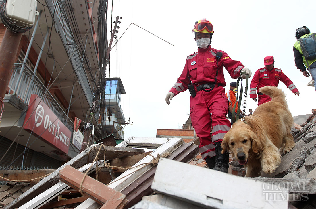 Chinese rescue teams search for Nepal survivors - Global Times