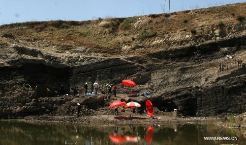 Rare skull of fossil ape discovered in SW China - Global Times