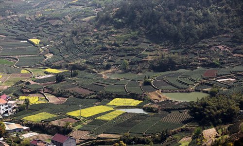 Where cups runneth over - Global Times