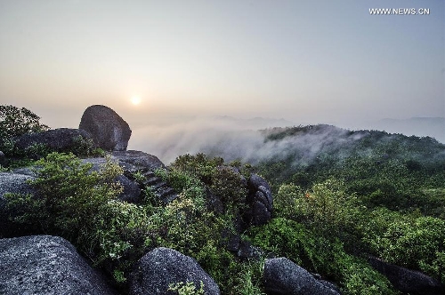 Meihua Mountain Nature Reserve in SE China - Global Times