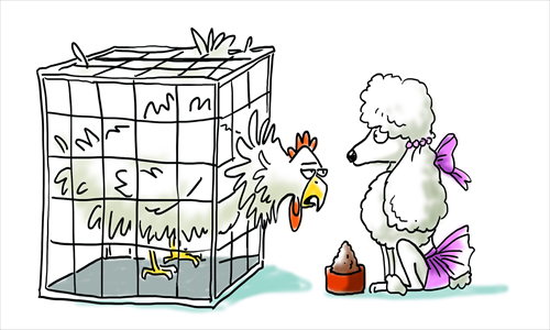 Animal rights rely on human concepts - Global Times