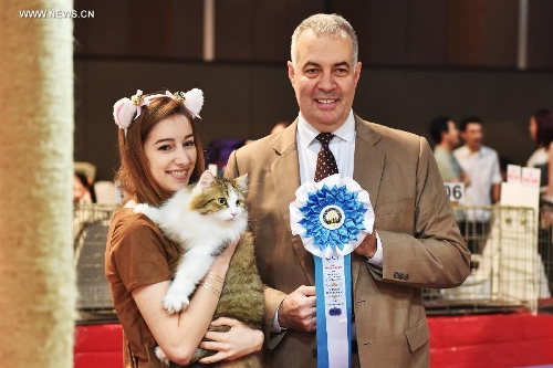 Bangkok Int'l Cat Competition kicks off - Global Times