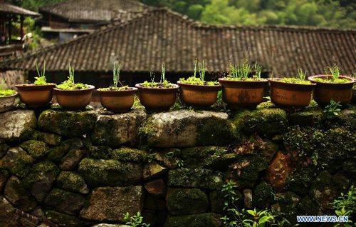 Linkeng village of Yongjia county in Zhejiang - Global Times