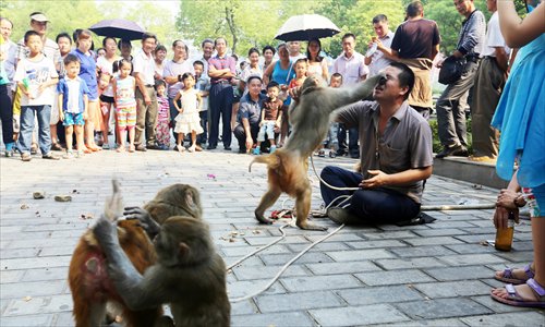 Monkey business - Global Times