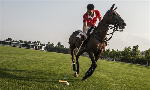 The sport of kings - Global Times