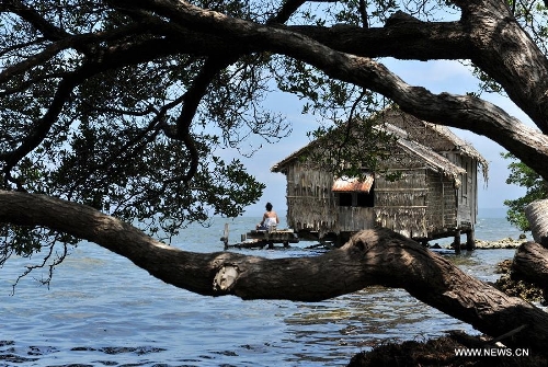 World heritage site: East Rennell in Solomon Islands - TRAVEL ...