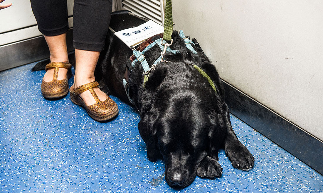 Breakthrough for the blind - Global Times