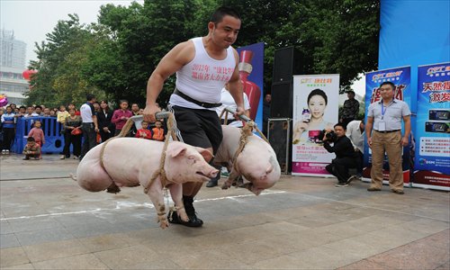 Heavy hogs! - Global Times