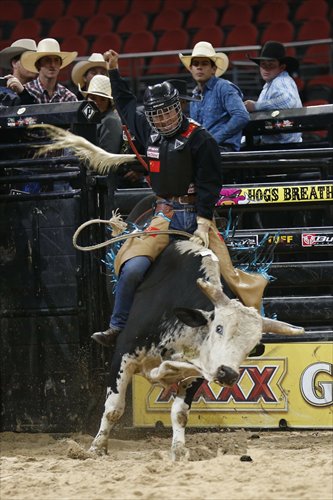 Bull riding comes to China - Global Times