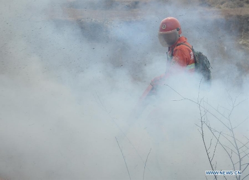 Forest fire drill held in N China's Hebei - Global Times