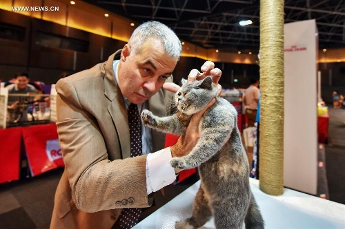 Bangkok Int'l Cat Competition kicks off - Global Times