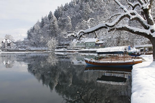 Heavy snowfall shrouds beautiful Lake Bled in NW Slovenia - Global Times