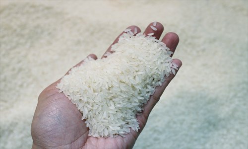Following a trail of poison rice - Global Times