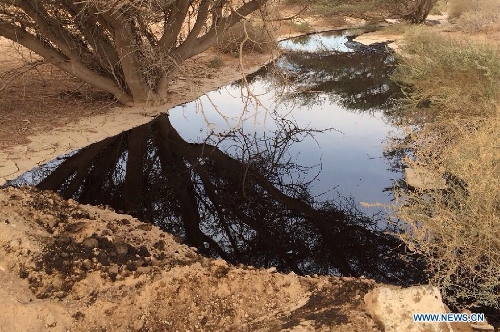 Oil spill in Israel, one of 'worst' environmental disasters - Global Times
