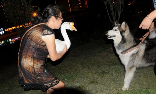 Goosed in public - Global Times