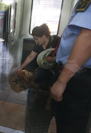 More understanding needed to guide dog - Global Times