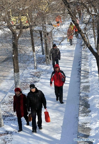 Harbin sees significant temperature drop - Global Times