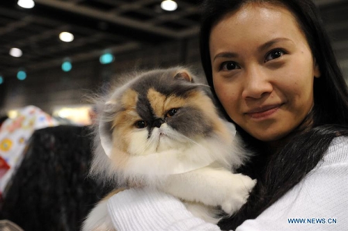 2013 Spring Championship Cat Show held in Hong Kong - Global Times