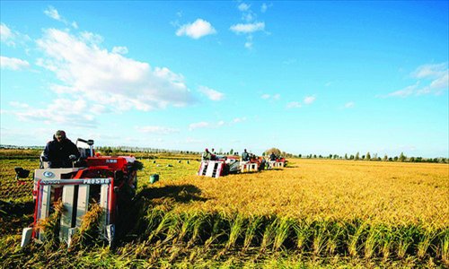 Rural modernization will come with risks - Global Times