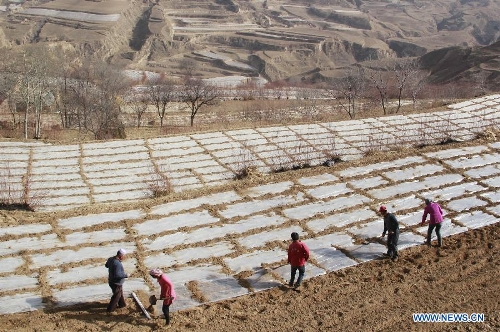Farmers fight against drought for spring ploughing in N China - Global ...