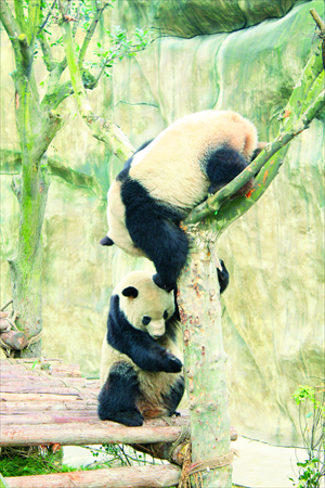 Not born free - Global Times