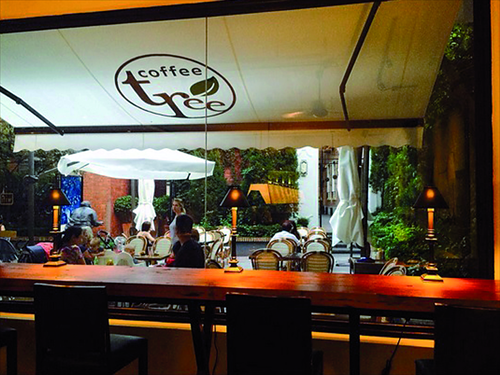 Thanksgiving with all the trimmings - Global Times