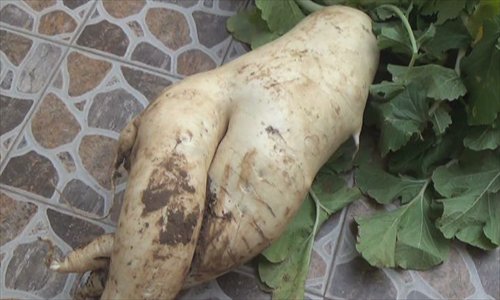 Relished radish: Proud Jiangsu villager pulls 14-kg giant radish from ...