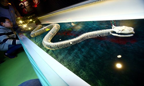 Snake charmed - Global Times