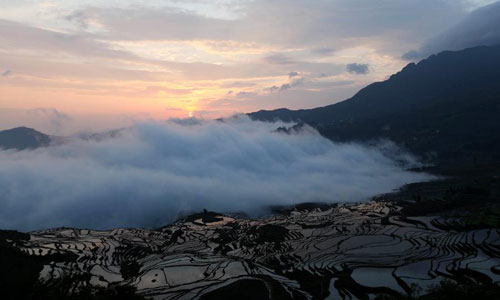 Terrace scenery in Yuanyang, China's Yunnan - Global Times