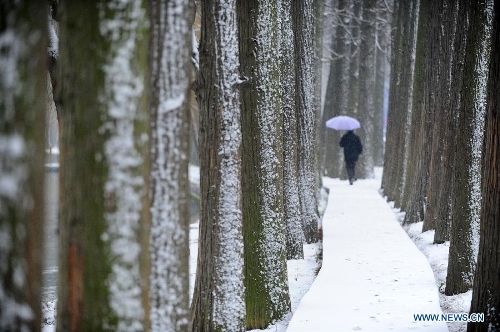 Snowfall hits Wuhan, C China - Global Times