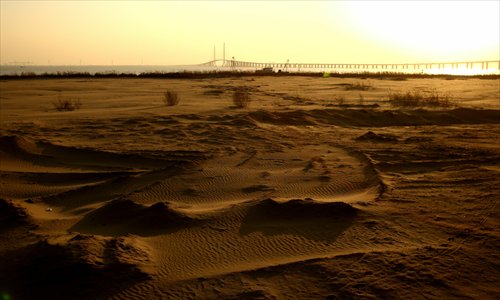 Shanghai's seaside secrets - Global Times