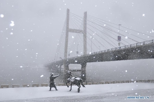 Snowfall hits China's Jilin - Global Times