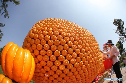 Pumpkin Festival to be held in E. China - Global Times