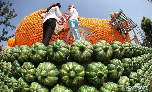 Pumpkin Festival to be held in E. China - Global Times