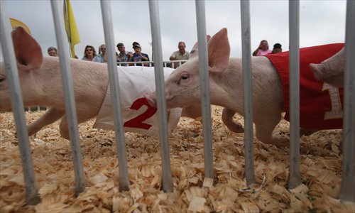 Galloping trotters - Global Times