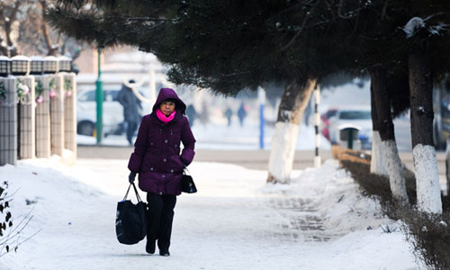 China maintains blue alert for cold wave - Global Times