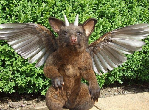 Weird stuffed animals - Global Times
