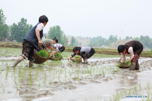 Chinese farmers busy with planting crops as summer approaches - Global ...