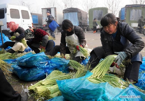 Farm produce prices rise for 10th week - Global Times