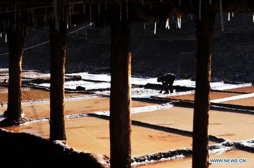 Oldest method of salt production seen in Tibet - Global Times