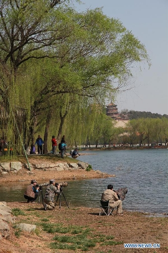 Spring scenery in Beijing's Summer Palace - Global Times