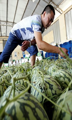 Here comes the judge - Global Times